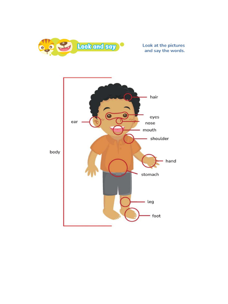 Kelas 5 - Part of Body | PDF