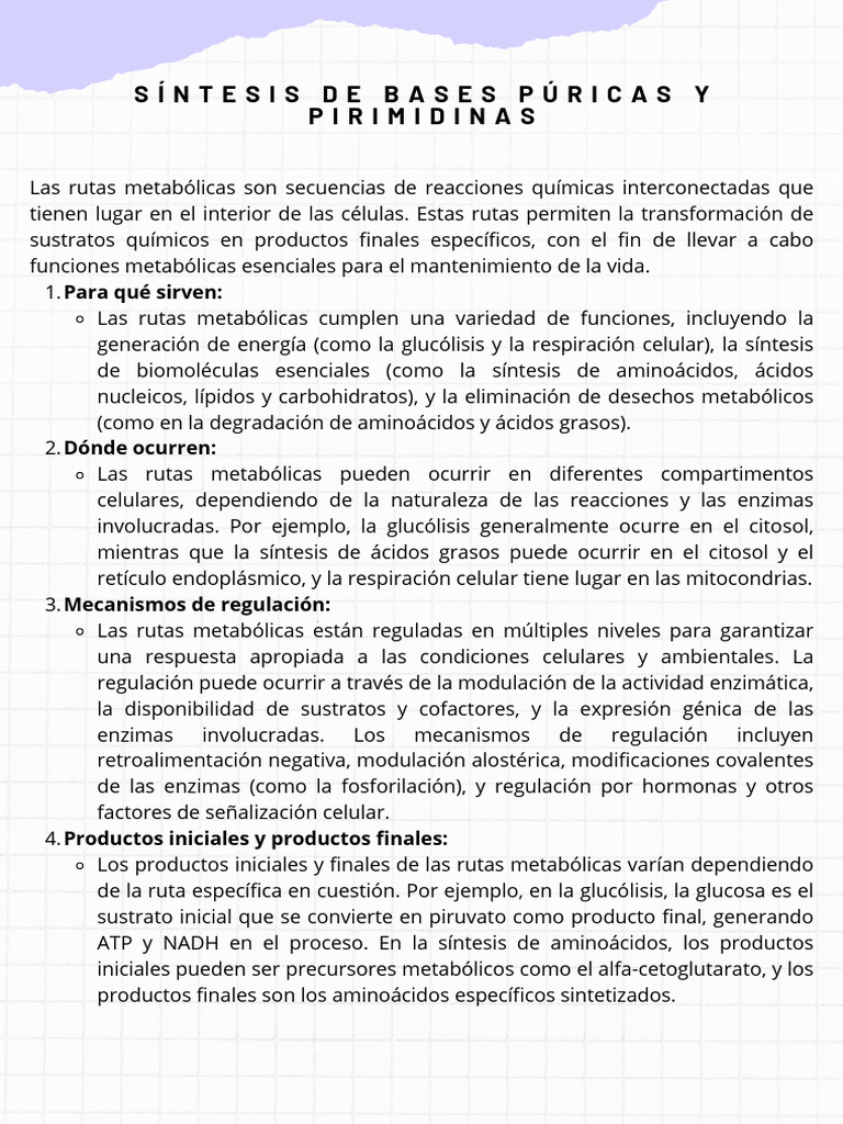 Síntesis de Bases Púricas y Pirimidinas | PDF | Metabolismo | Biosíntesis