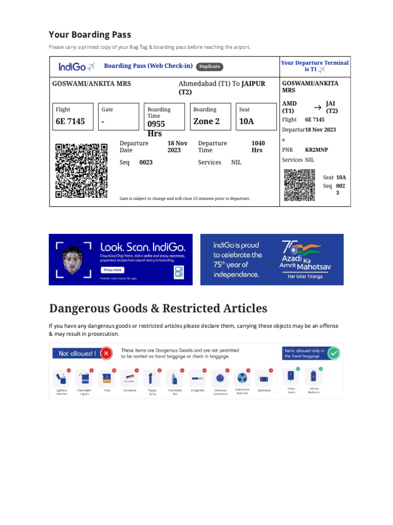Ticket JP | PDF | Baggage | Aviation