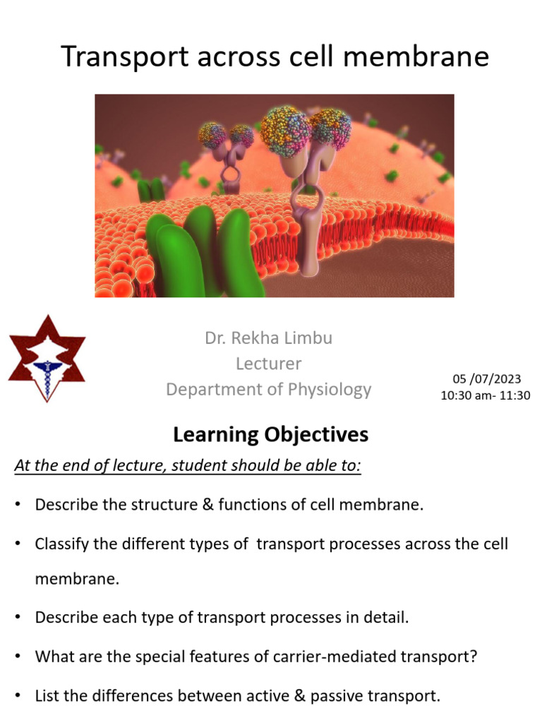 Transport Across Cell Membrane | PDF | Cell Membrane | Lipid Bilayer