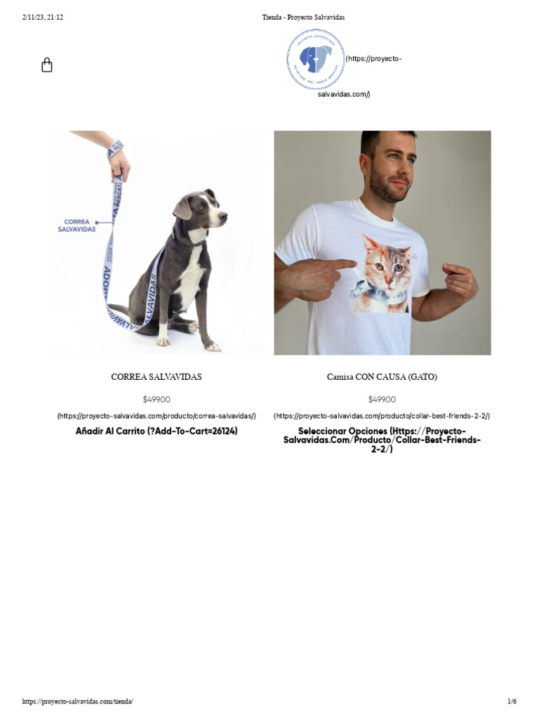 Tienda - Proyecto Salvavidas | PDF