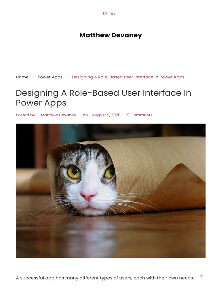 Designing A Role-Based User Interface in Power Apps - Matthew Devaney ...