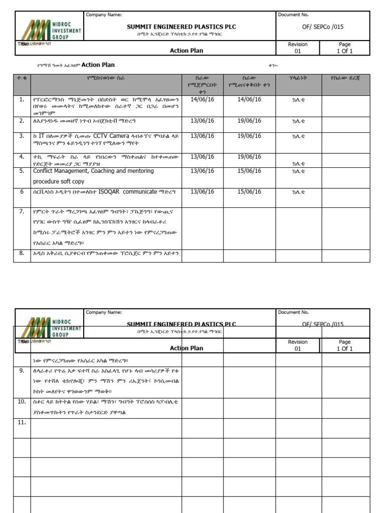 QC Action Plan | PDF