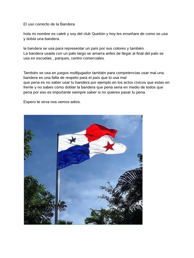 Uso y doblez de la bandera nacional | PDF