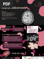 Hallazgos Radiológicos en Neurocisticercosis | PDF | Especialidades ...