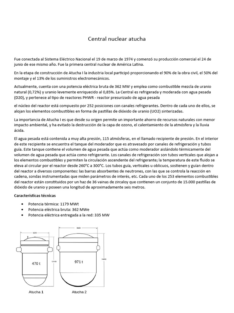 Central Nuclear Atucha. Caro y Ale | PDF | Reactor nuclear | La energía ...