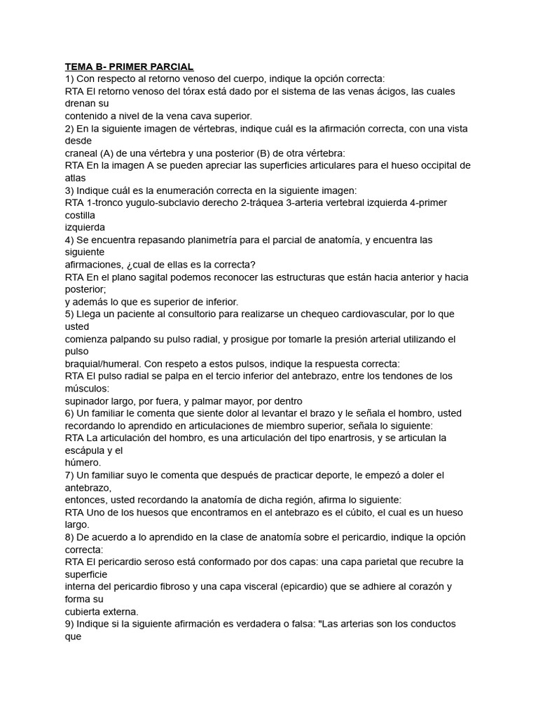 Anato Parciales | PDF | Corazón | Abdomen