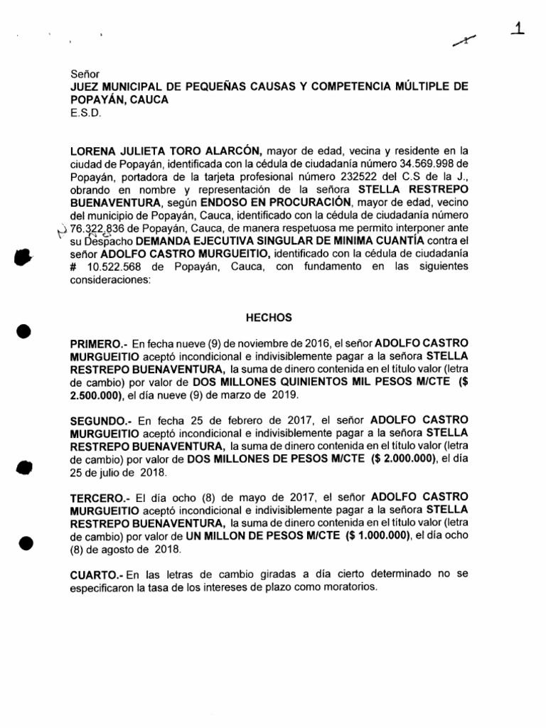 Dda Ejec Sing Con Endoso en Proc.2 | PDF