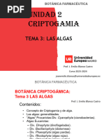 Características y clasificación de Cyanobacterias | PDF ...