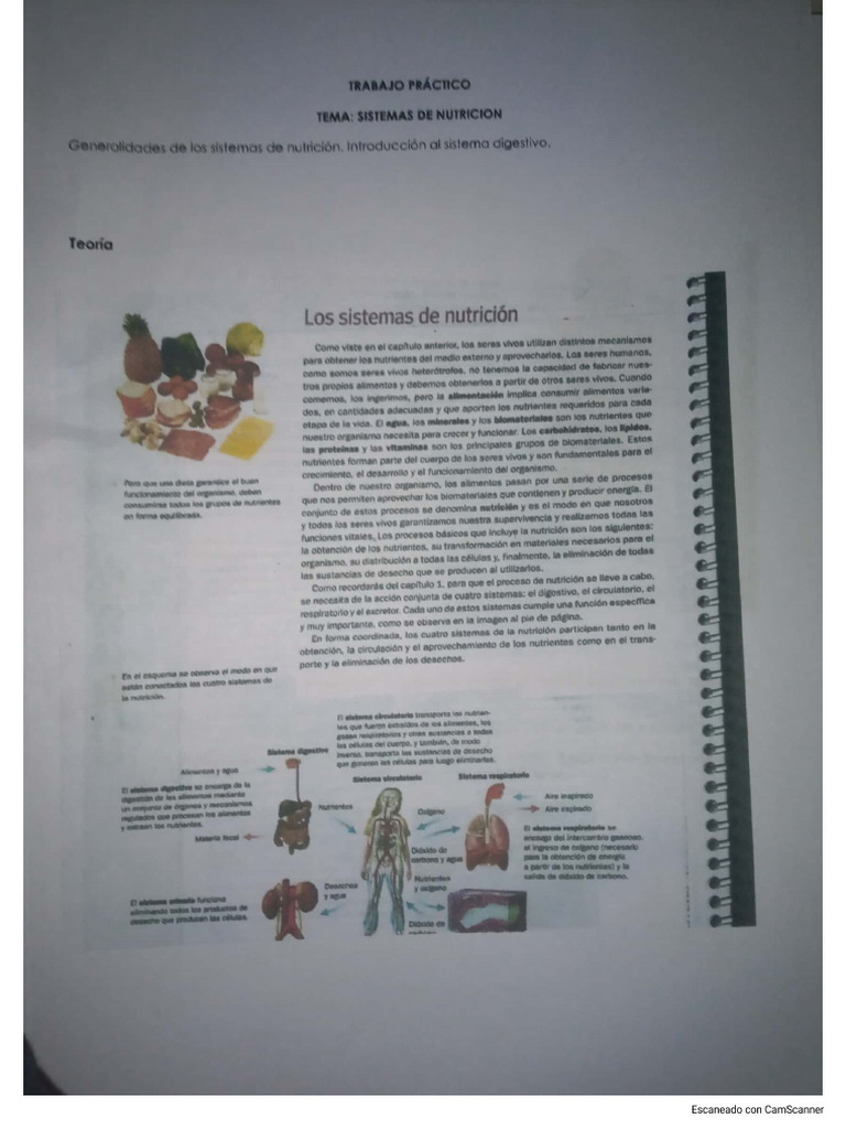TP n3 Bio 2023 | PDF