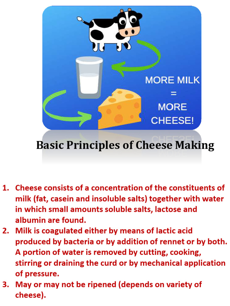 Basic Principles of Cheese Making | PDF | Cheese | Cheesemaking