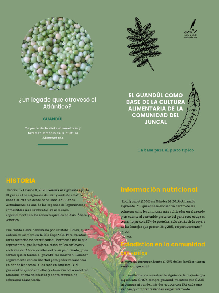 El Guandúl ¿Un Legado Que Atravesó El Atlantico? | PDF | Agricultura ...