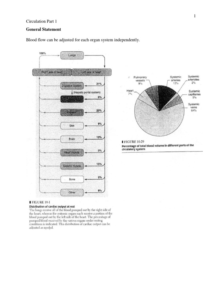 23circulation Part 1 | PDF | Vasodilation | Blood Vessel
