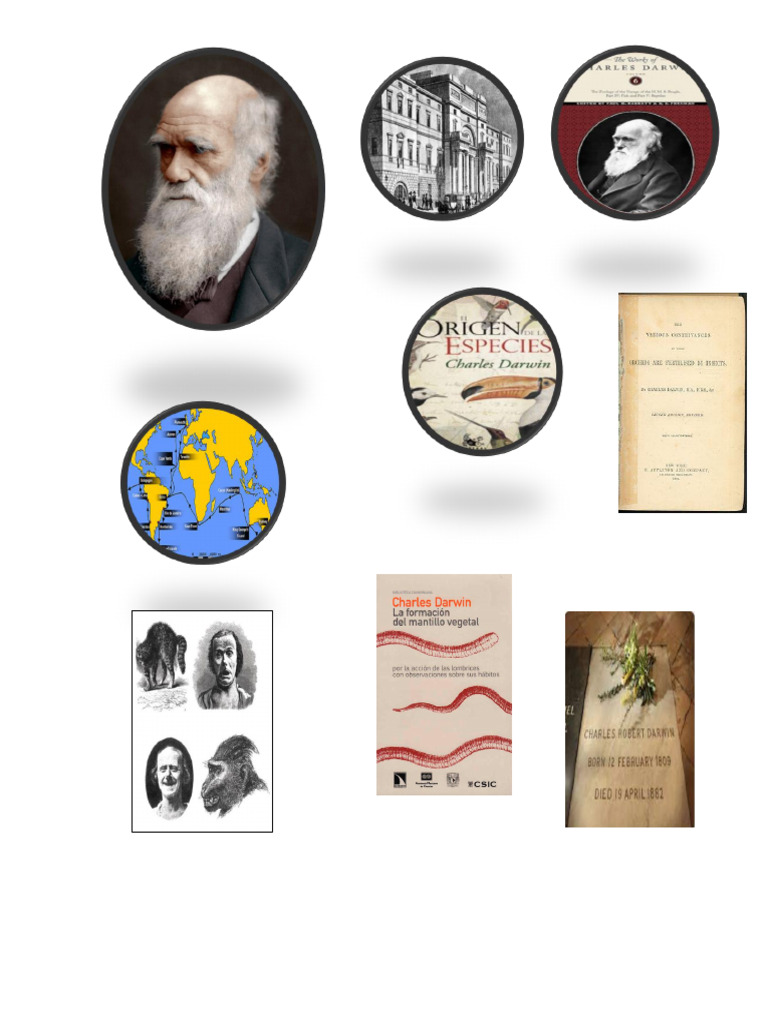 Darwin | PDF