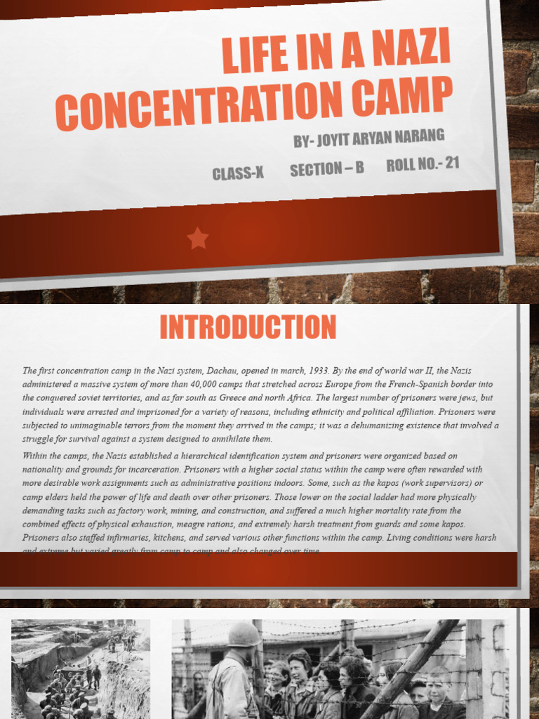 Joyit Aryan Narang Class 10B History Project | PDF | Nazi Concentration ...
