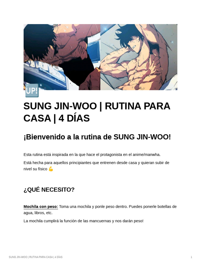 Rutina SUNG JIN-WOO para CASA - 4 DÍAS | PDF