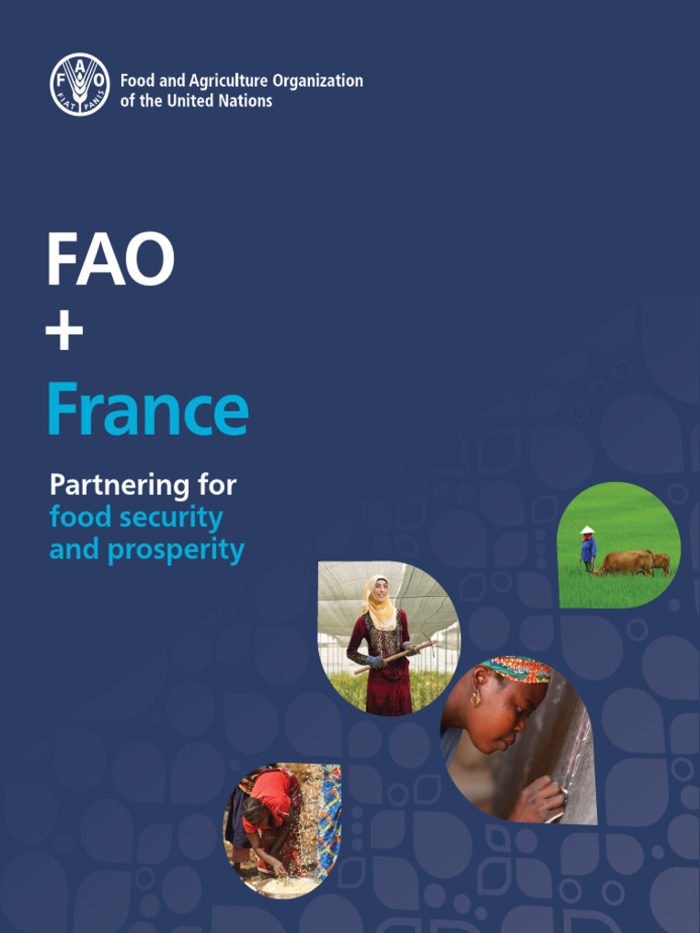 FRANCE+FAO Food Security | PDF | Food And Agriculture Organization ...
