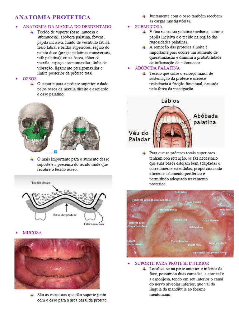 ANATOMIA PROTETICA | PDF | Prótese | Osso