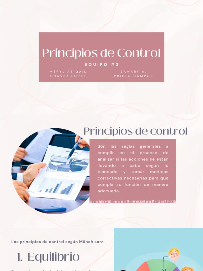 Principios de control | PDF