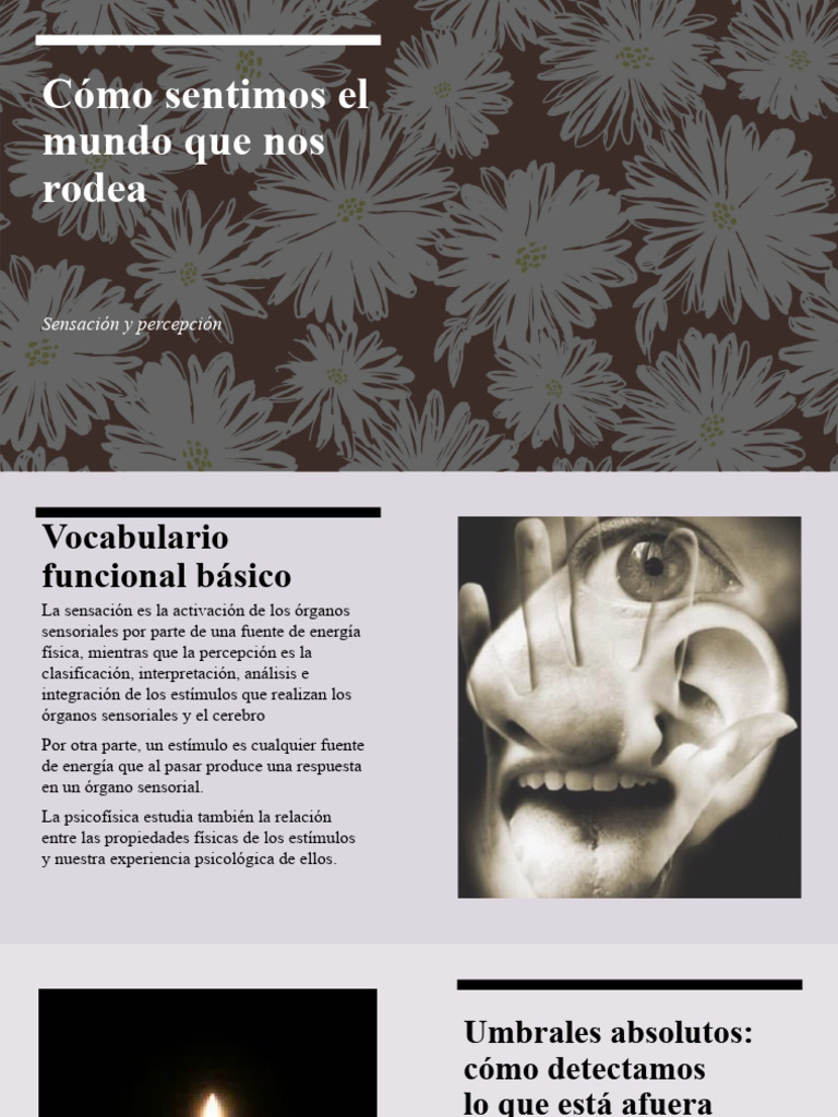 Modulo 8. Cómo Sentimos El Mundo Que Nos Rodea | PDF | Percepción ...