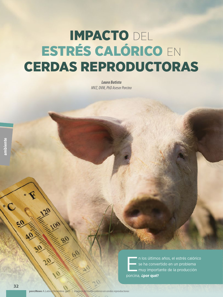 Estrés Calórico en Cerdas Reproductoras | PDF | Amamantamiento ...