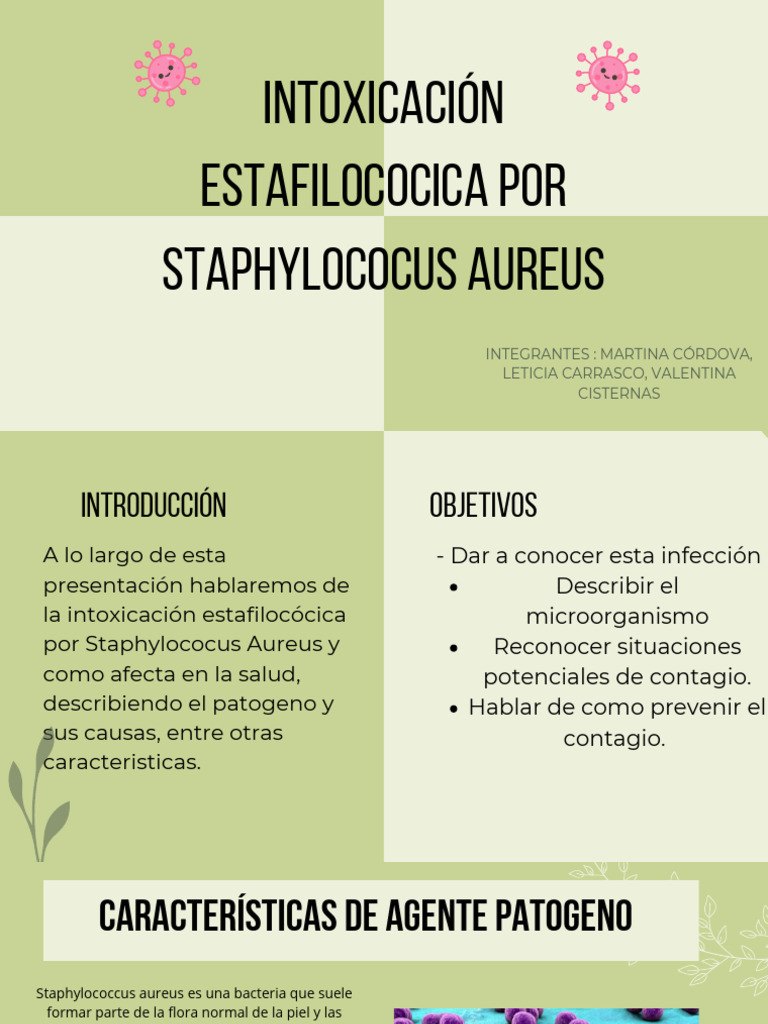 Intoxicación estafilocócica: causas y prevención | PDF | Enfermedades ...