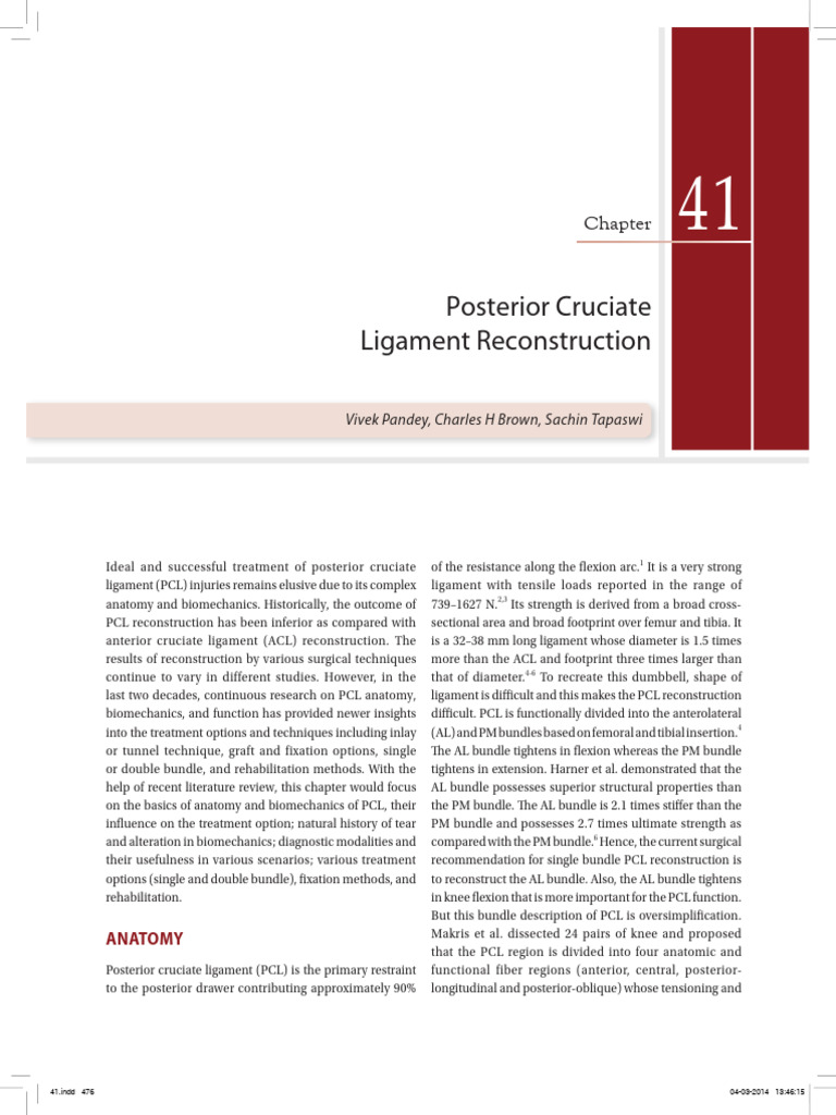 PCL Reconstruction | PDF | Knee | Limbs (Anatomy)