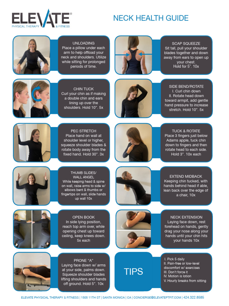 Neck and Shoulder Exercise Guide | PDF | Shoulder | Anatomical Terms Of ...
