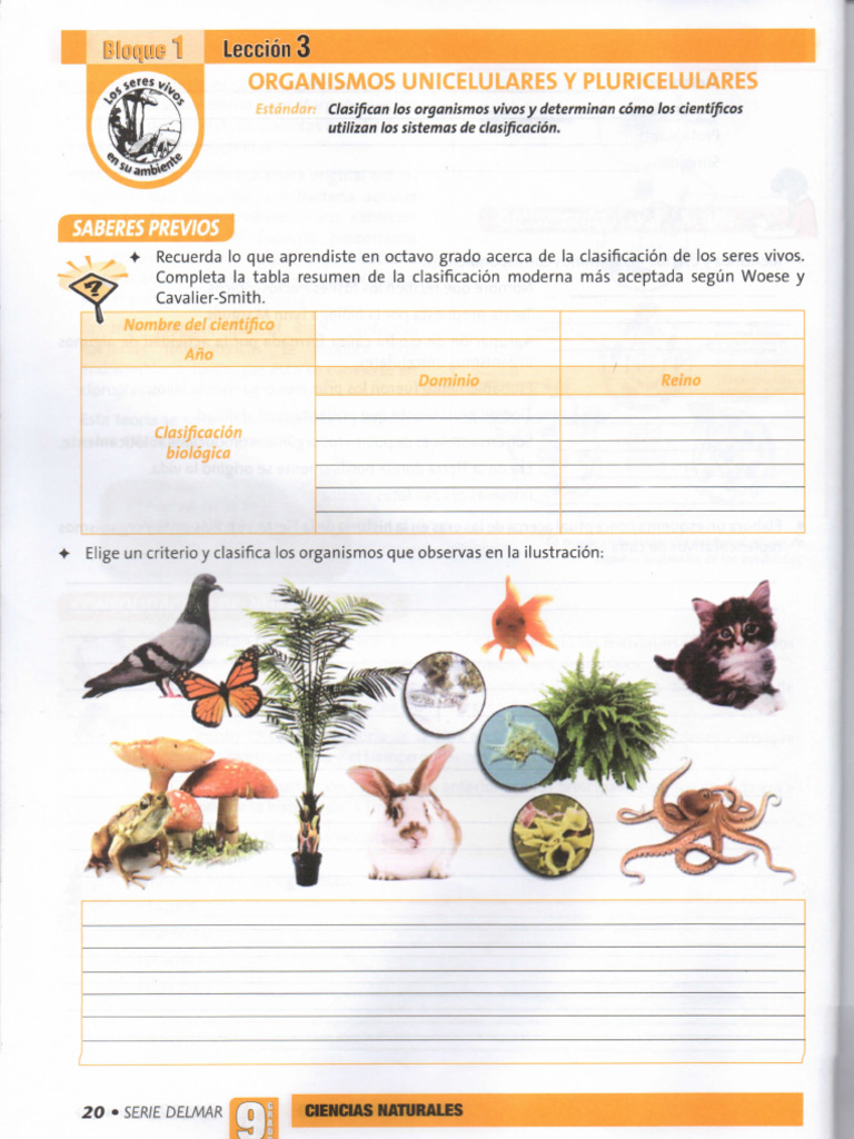 Leccion 3 Org Unicelulares y Pluricelulares | PDF | Organismos | Naturaleza