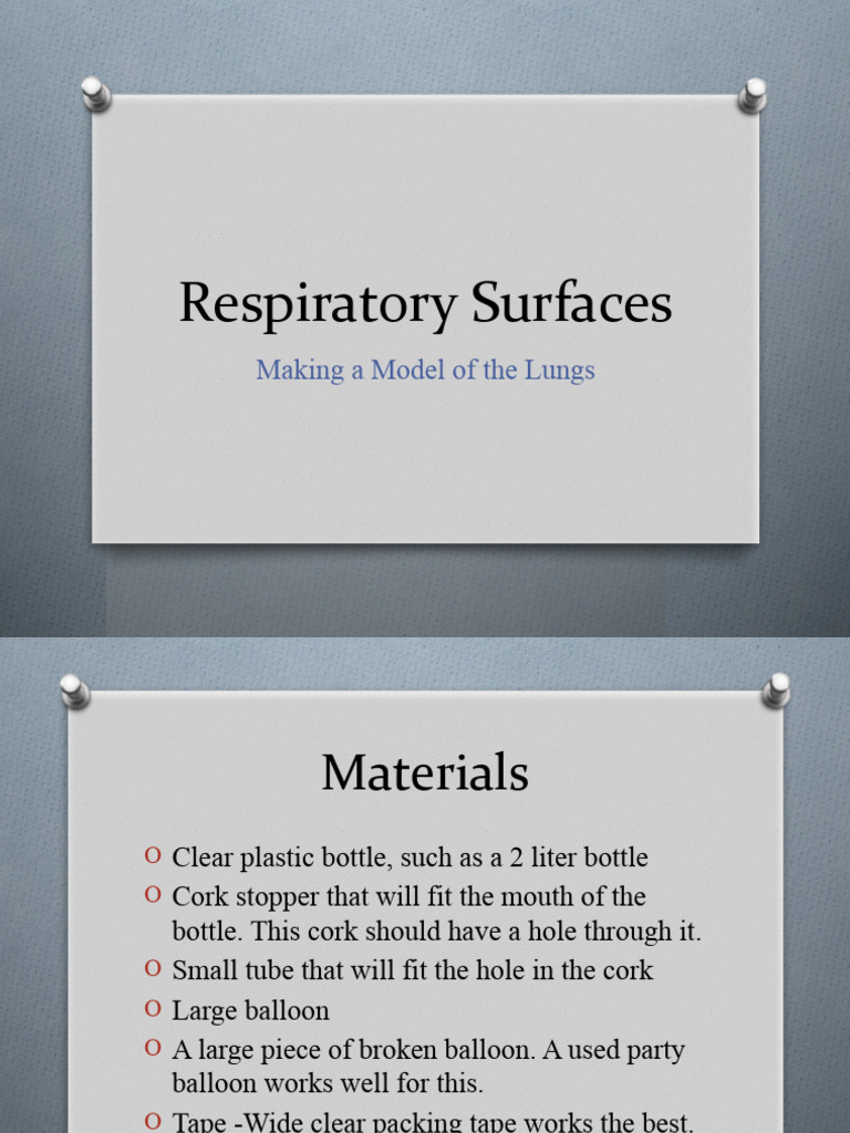 Lung Model Using Bottle and Balloons | PDF | Language Arts & Discipline ...