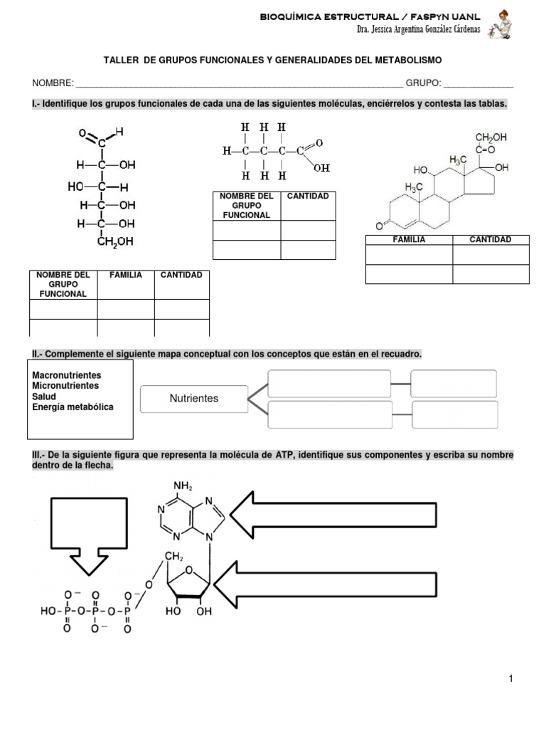 Bioquimica Cheems Abejita 1 | PDF | Metabolismo | Trifosfato de adenosina