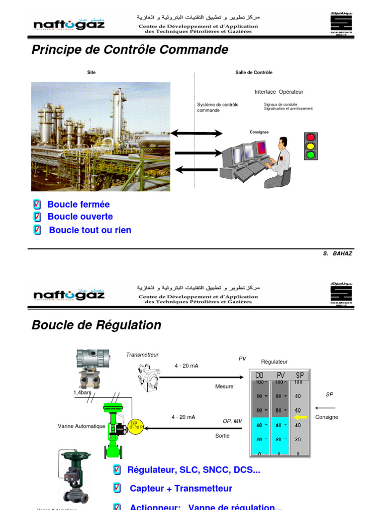 Architecture d'un Système DCS DeltaV | PDF | Entrée/Sortie | Connectique