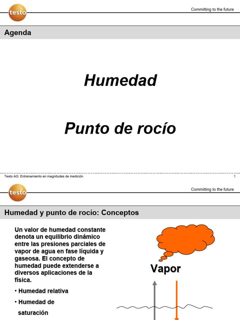 Humedad-punto de Rocío | PDF | Humedad | Vapor de agua