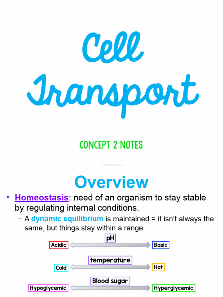 Concept 2 Notes - Cell Transport | PDF | Osmosis | Physical Sciences