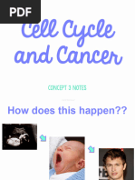 Amoeba Sisters - Plants-Diversity, Structure & Adaptations Video | PDF ...