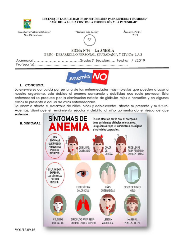 FICHA N°09 LA ANEMIA | PDF | Anemia | Sangre