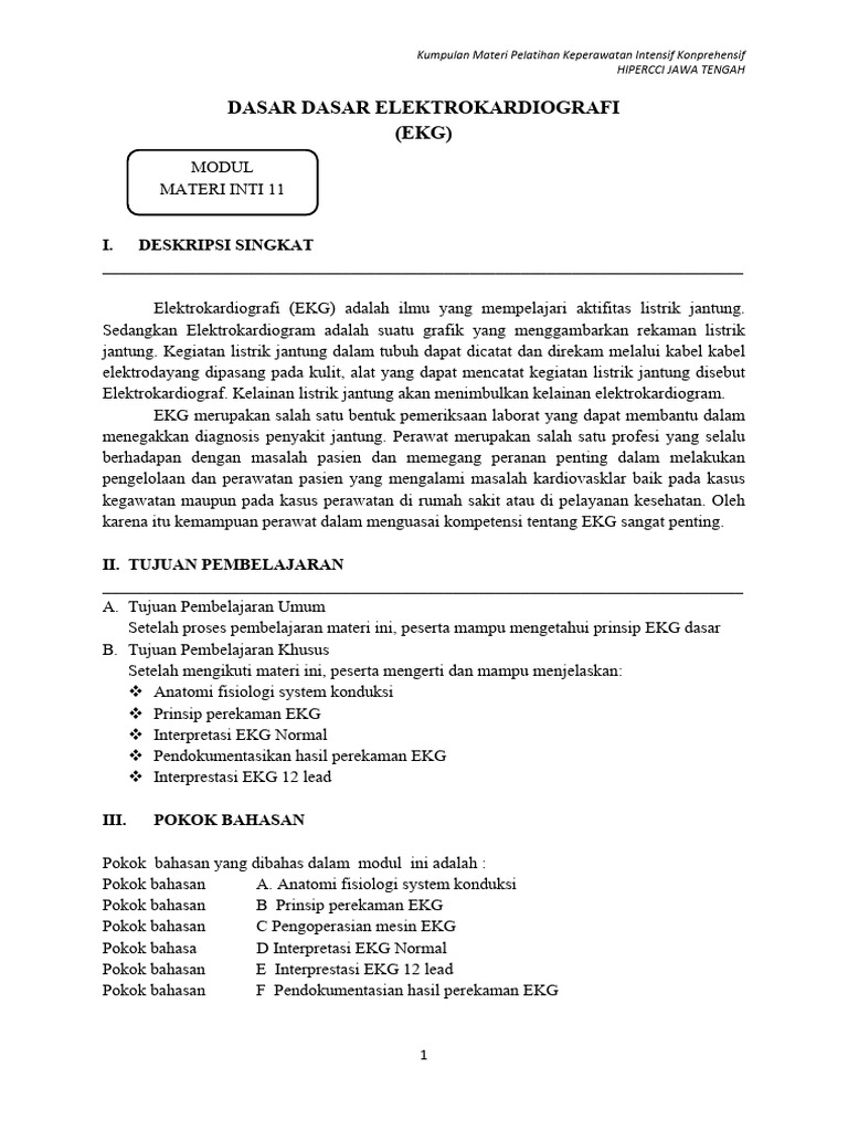 11 - EKG 12 LEAD - Halaman 1-24 | PDF