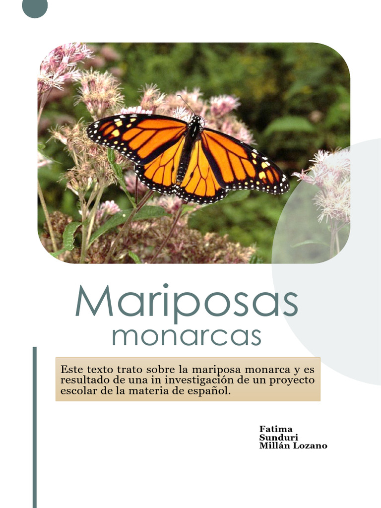 Mariposas Monarcas | PDF | Ciencias sociales