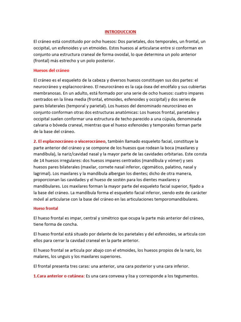 Estructura y Huesos del Cráneo | PDF | Cráneo | Cabeza y cuello humanos