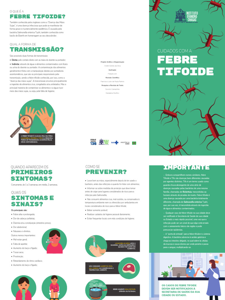 Prevenção e Transmissão da Febre Tifoide | PDF | Causas de morte ...