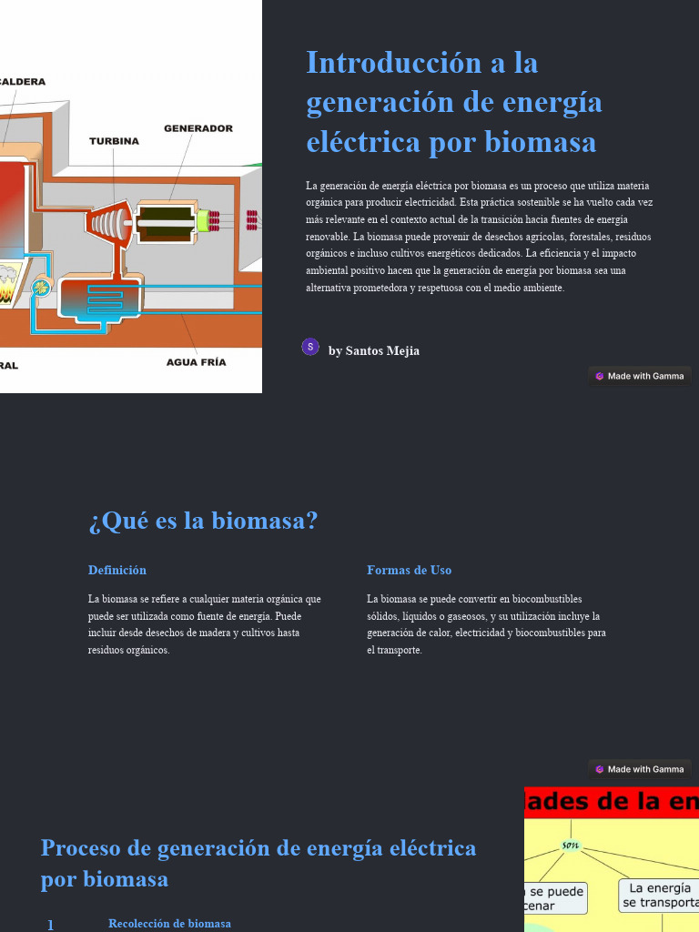 Introduccion A La Generacion de Energia Electrica Por Biomasa | PDF | Biomasa | Energía renovable