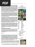 f2 Biology Simplified Notes SP | PDF | Ventricle (Heart) | Atrium (Heart)