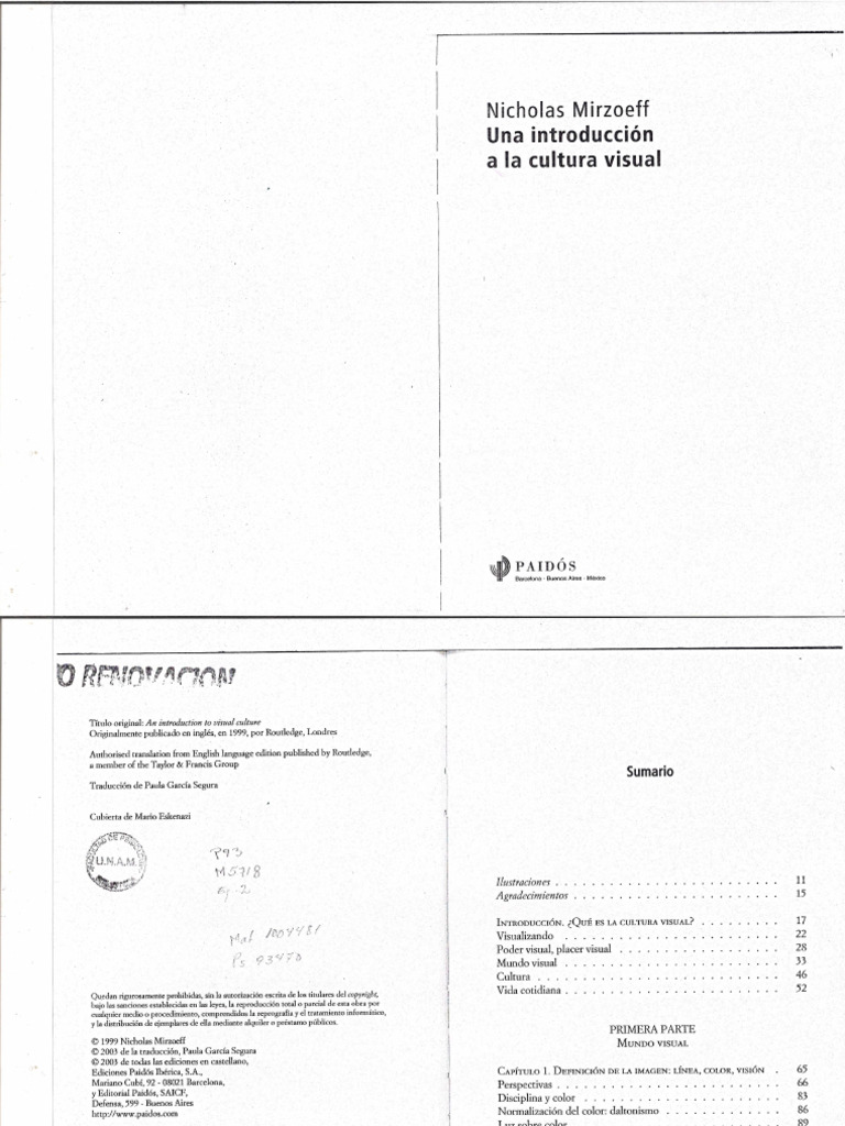 Mirzoeff | PDF