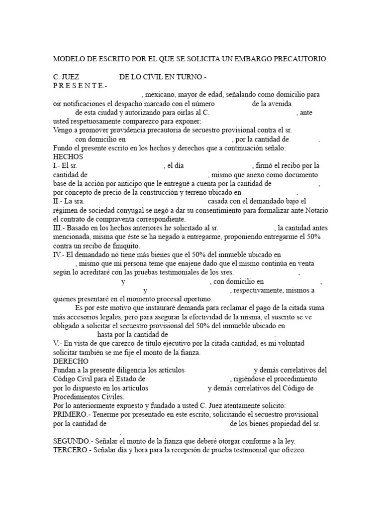 Solicitud de Embargo Precautorio | PDF | Demanda judicial | Justicia