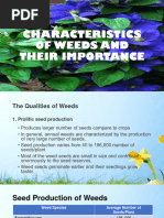 Single Seed Descent Method | PDF | Plant Breeding | Dominance (Genetics)