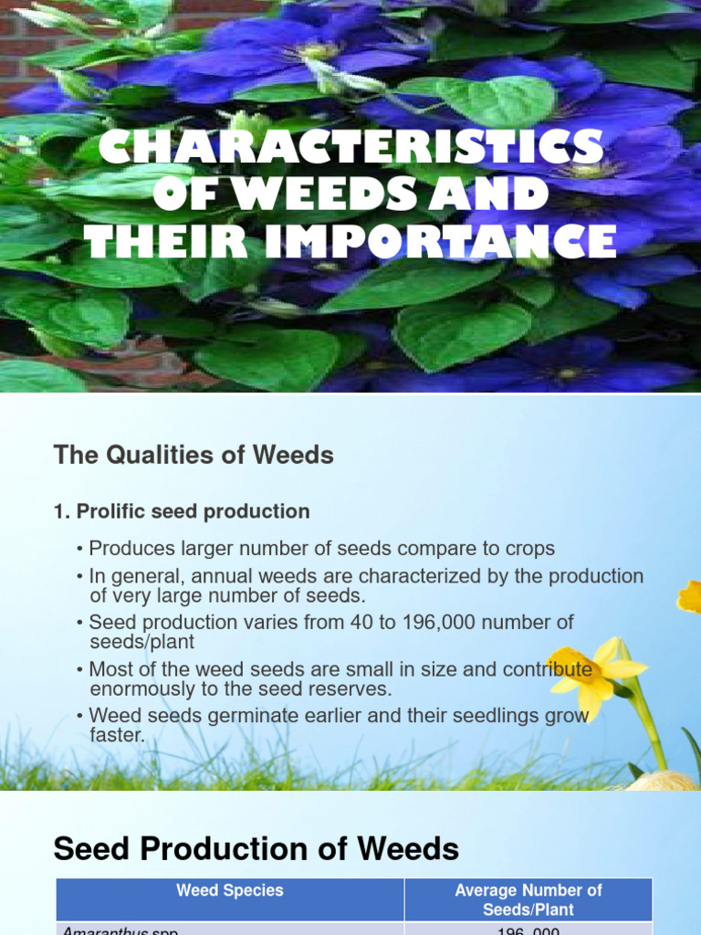 3B Characteristics of Weeds and Their Importance | Download Free PDF ...