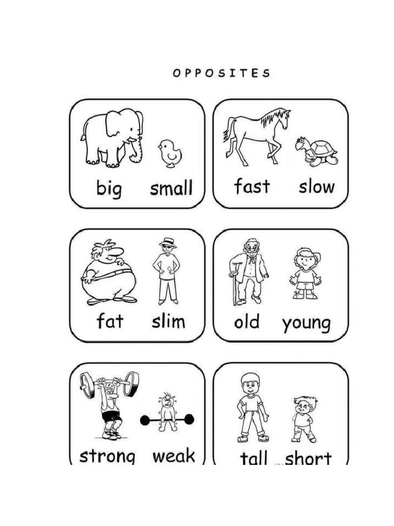 Opposites Pdf