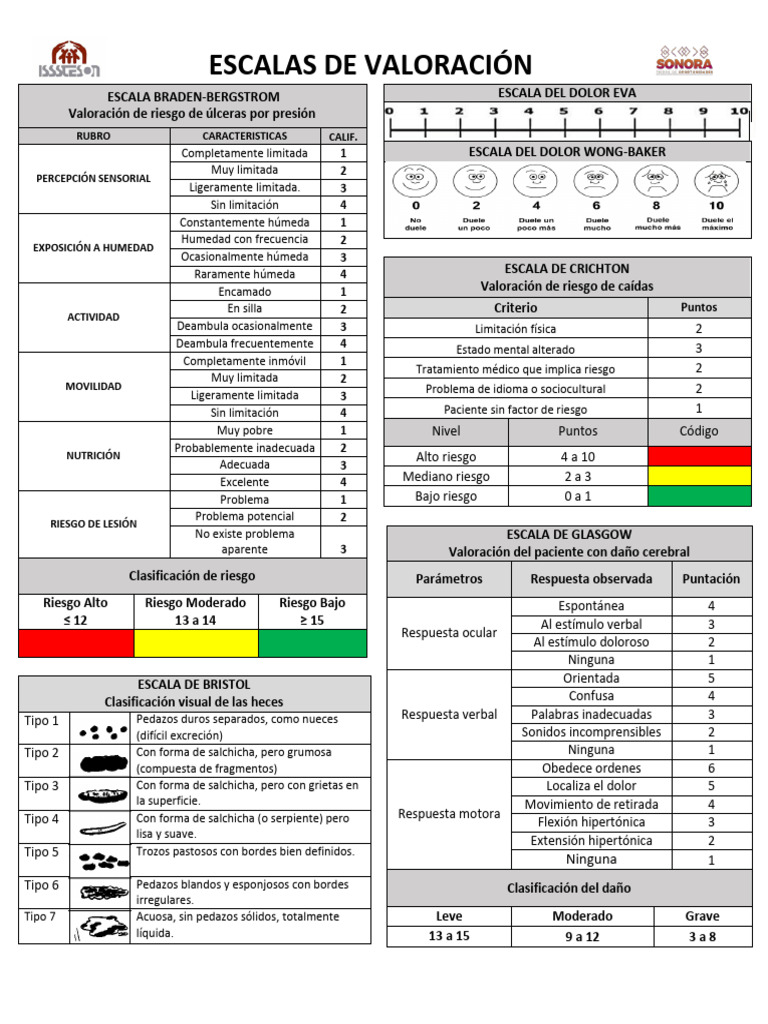 Escalas De Valoración En Salud Pdf Dolor Sistema Nervioso