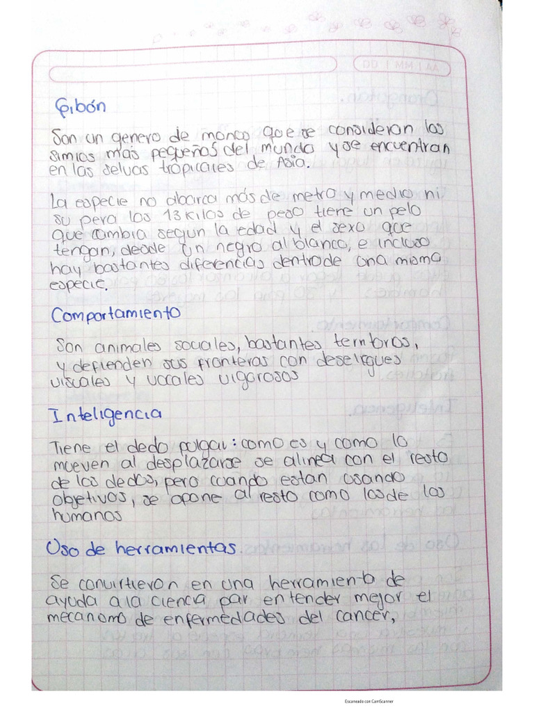 Los Monos y Hominidos | PDF