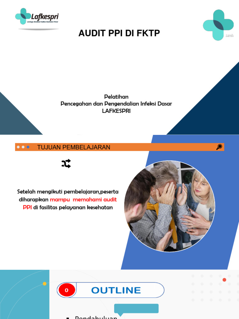 Audit Program PPI | PDF